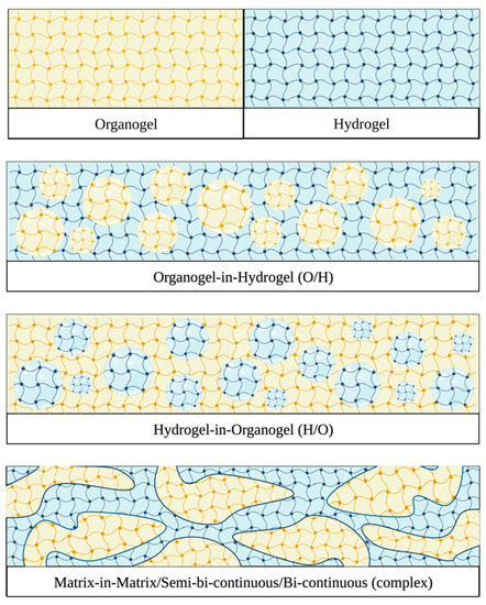 Bigels as Delivery Systems: Potential Uses and Applicability in Food