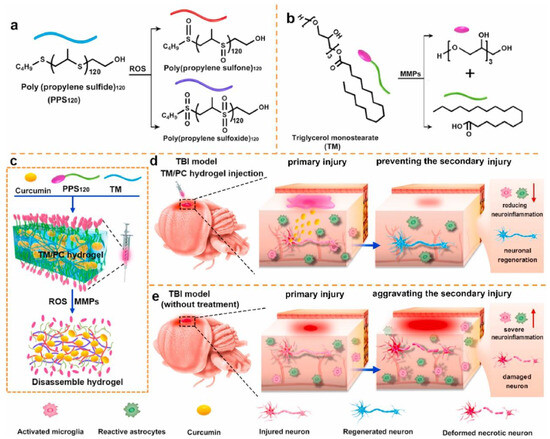 Advances in the Research and Application of Smart-Responsive Hydrogels ...