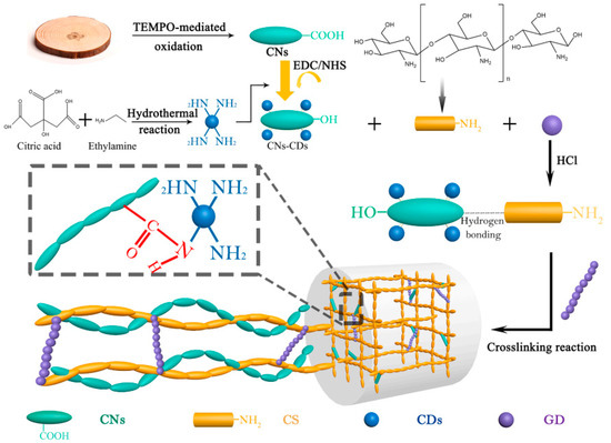 Gels | Free Full-Text | Chitosan Hydrogels for Water Purification Applications