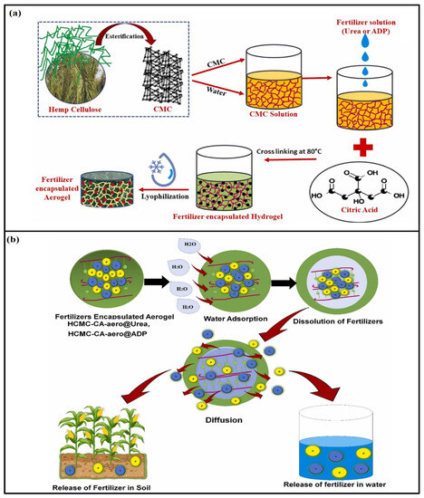 Insights into the Potential of Biopolymeric Aerogels as an Advanced ...