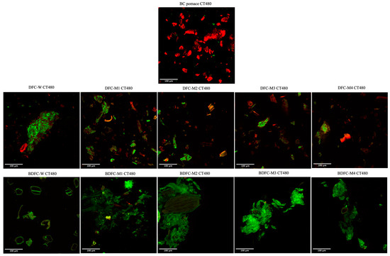 Gels | Free Full-Text | Production of Hydrogels from Microwave-Assisted ...