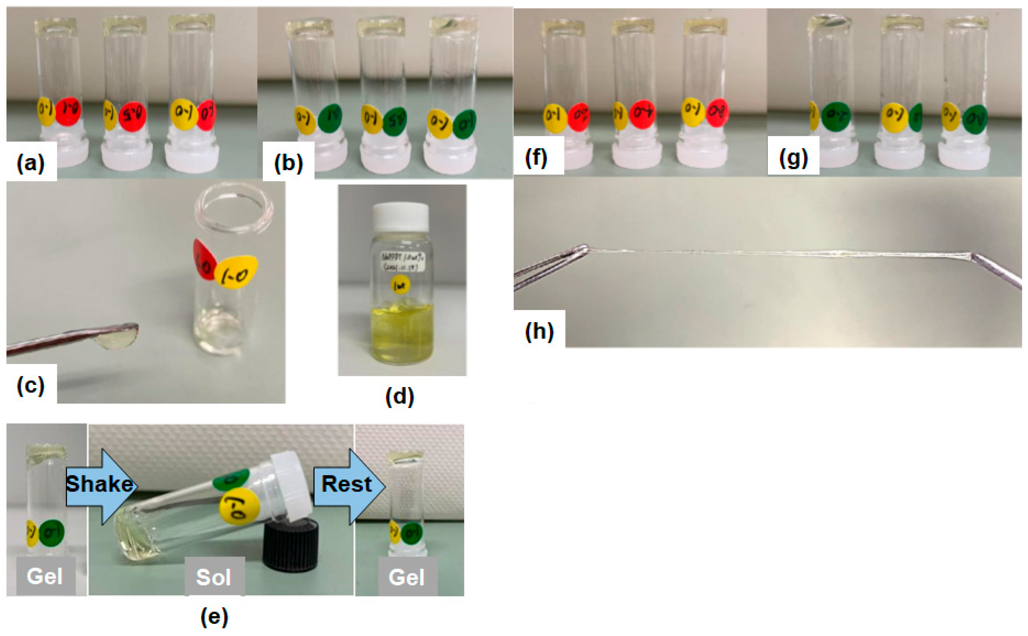 Gels | Free Full-Text | Creation of Polymer Hydrogelator/Poly(Vinyl ...