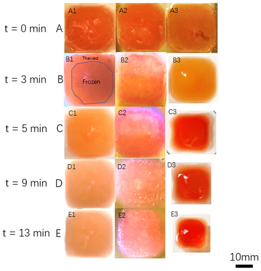 Temperature-Controlled 3D Cryoprinting Inks Made of Mixtures of ...