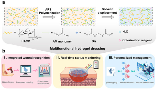 Progress of Hydrogel Dressings with Wound Monitoring and Treatment ...