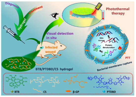 Progress of Hydrogel Dressings with Wound Monitoring and Treatment ...