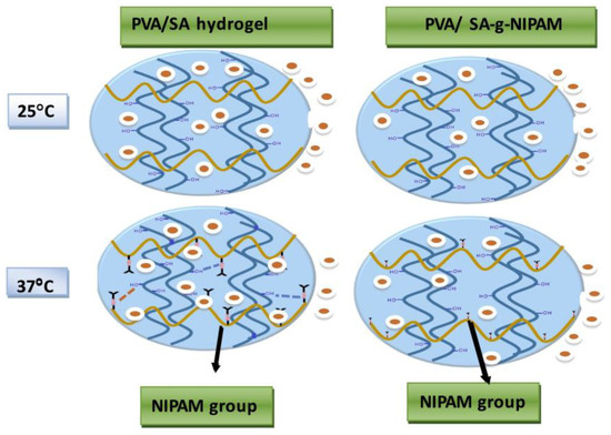 Progress of Hydrogel Dressings with Wound Monitoring and Treatment ...