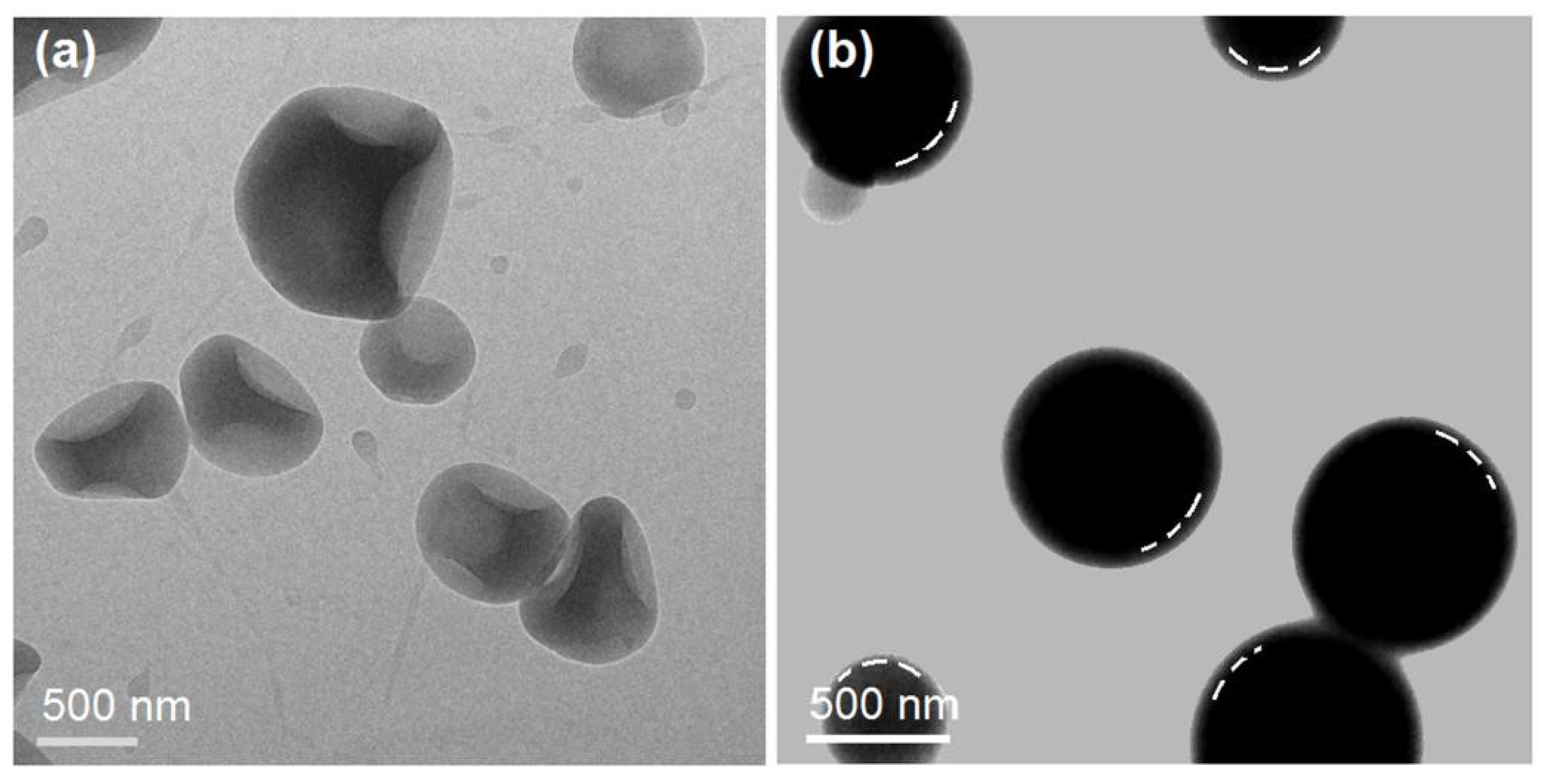 Electrosprayed Stearic-Acid-Coated Ethylcellulose Microparticles for an ...
