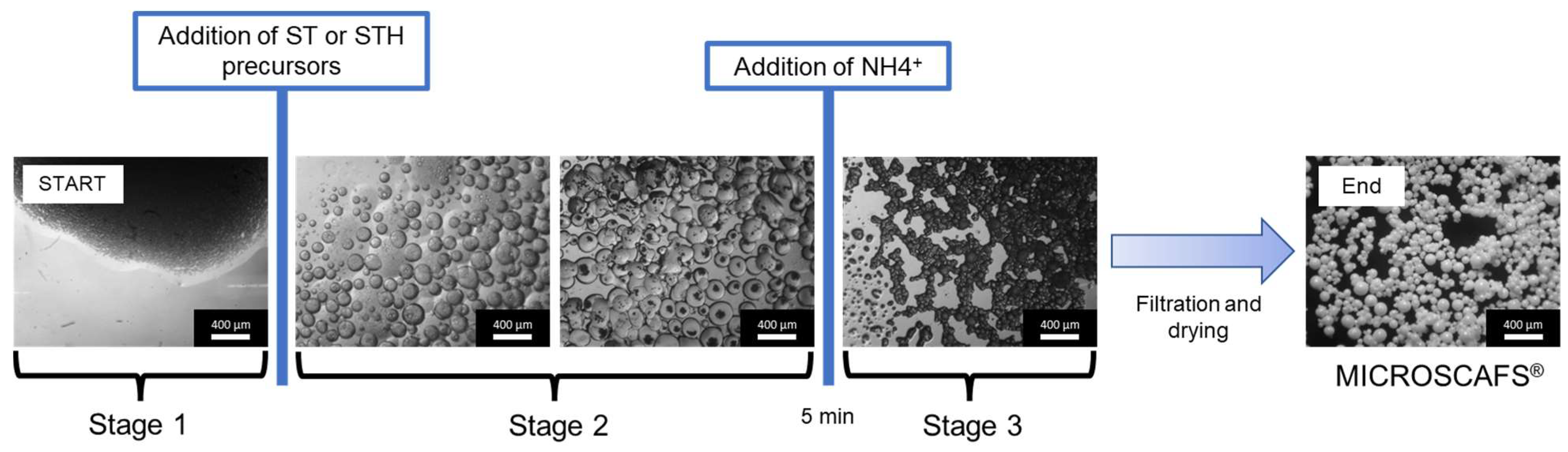 Gels | Free Full-Text | Mechanistic Study of the Formation of Multicomponent Oxide Porous ...