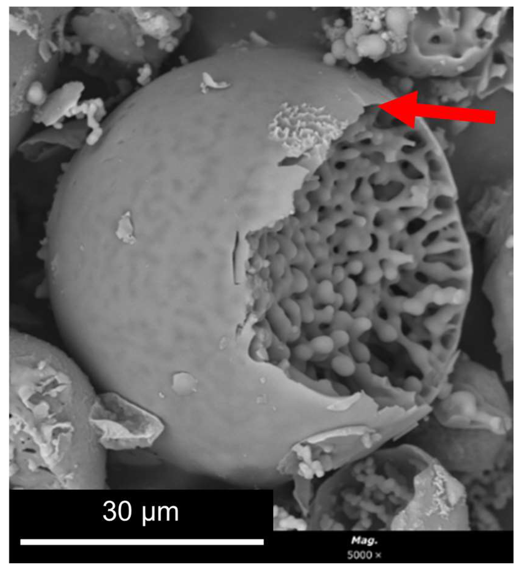 Gels | Free Full-Text | Mechanistic Study of the Formation of ...
