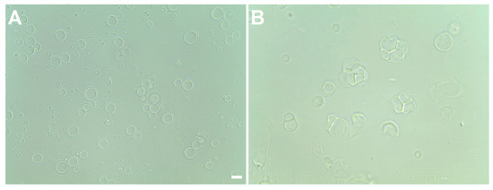 Design of Pectin-Based Hydrogel Microspheres for Targeted Pulmonary ...