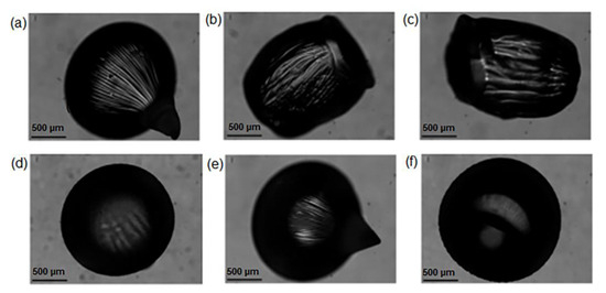 Synthesis and Characterization of Alginate Gel Beads with Embedded ...