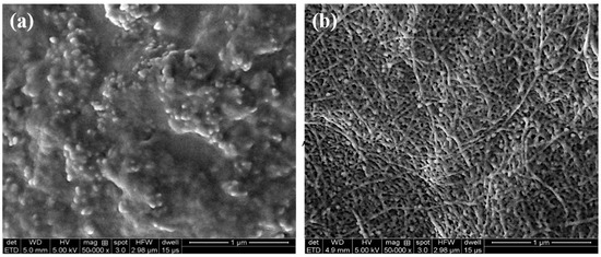 Development and Gelation Mechanism of Ultra-High-Temperature-Resistant ...