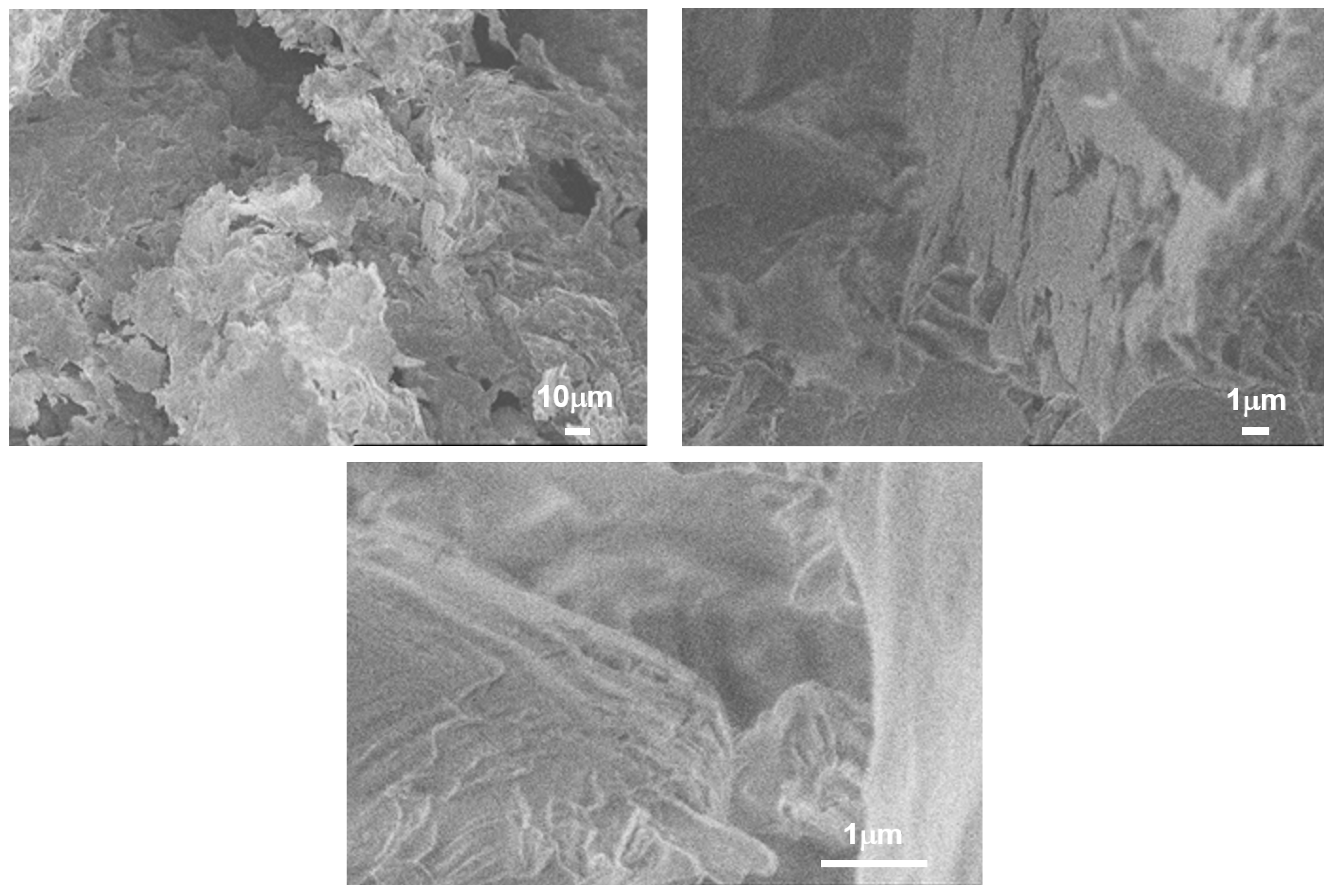 Creation of Molecular Gel Materials Using Polyrotaxane-Derived ...