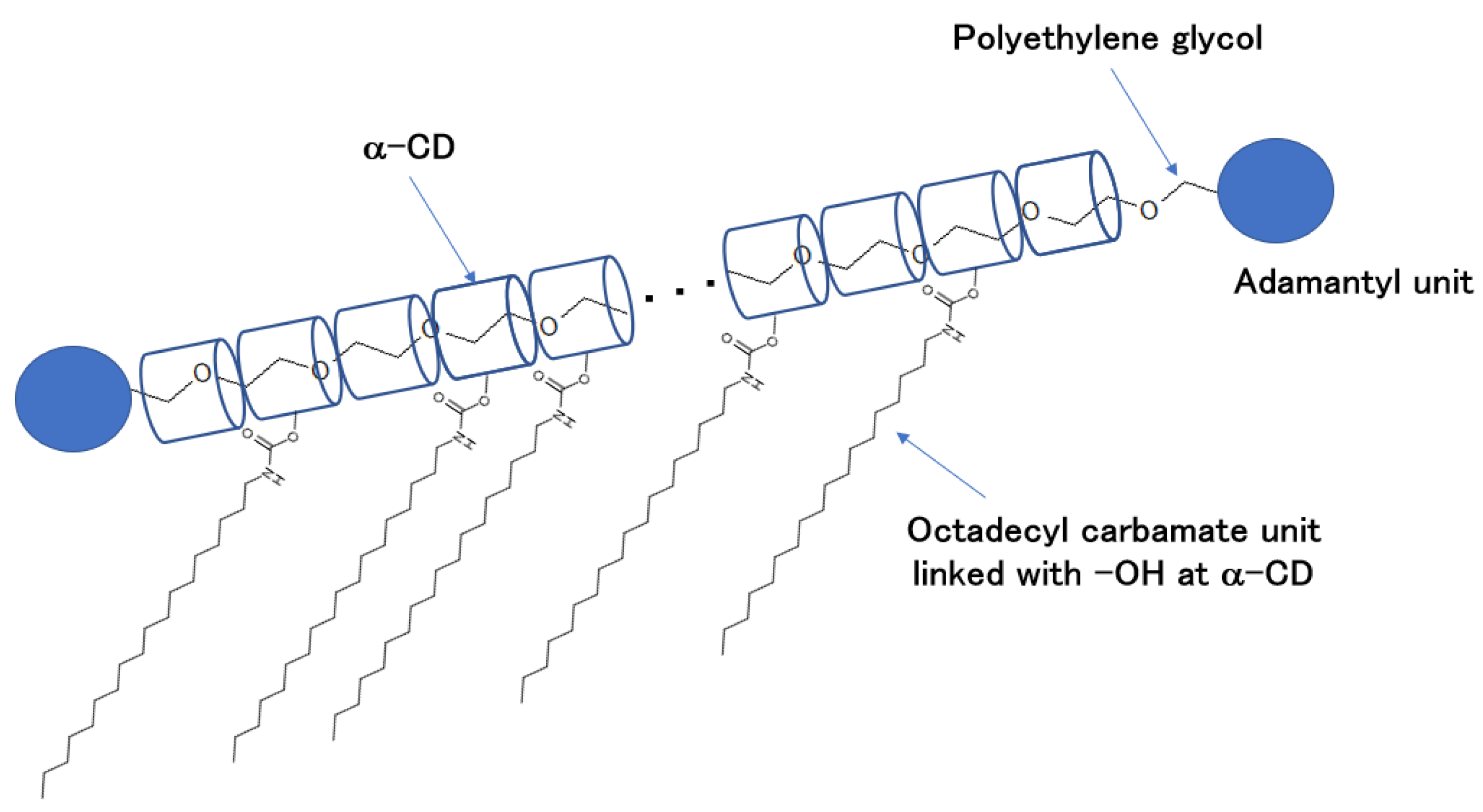 Creation of Molecular Gel Materials Using Polyrotaxane-Derived ...