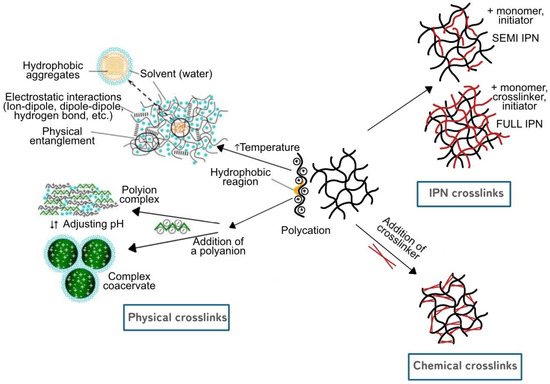 Gels | Free Full-Text | Pectin Hydrogels: Gel-Forming Behaviors, Mechanisms, and Food Applications