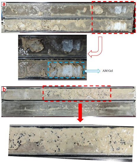 Preparation and Degradation Performance Study of P(AM/GG/PEGDA ...