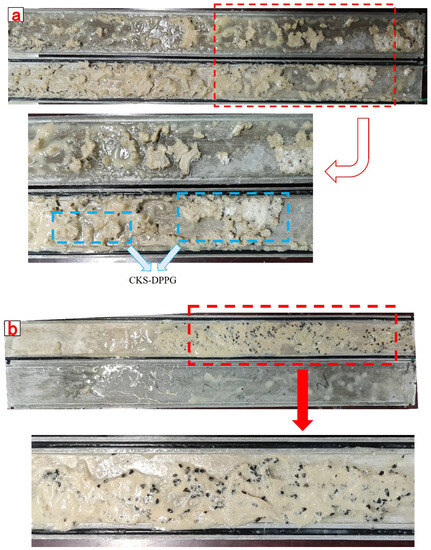 Preparation and Degradation Performance Study of P(AM/GG/PEGDA ...