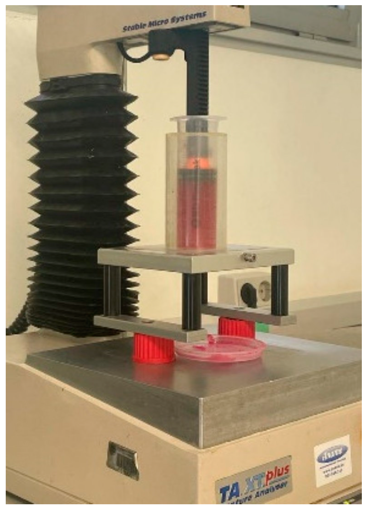 Viability Study on the Use of Three Different Gels for 3D Food Printing