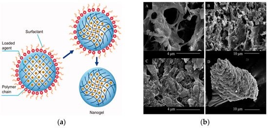 The Application of Nanogels as Efficient Drug Delivery Platforms for ...