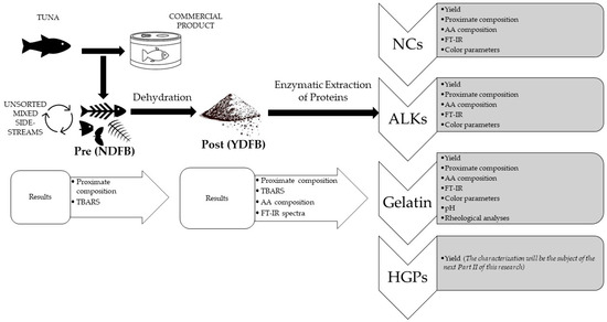 Feasibility of Enzymatic Protein Extraction from a Dehydrated Fish ...