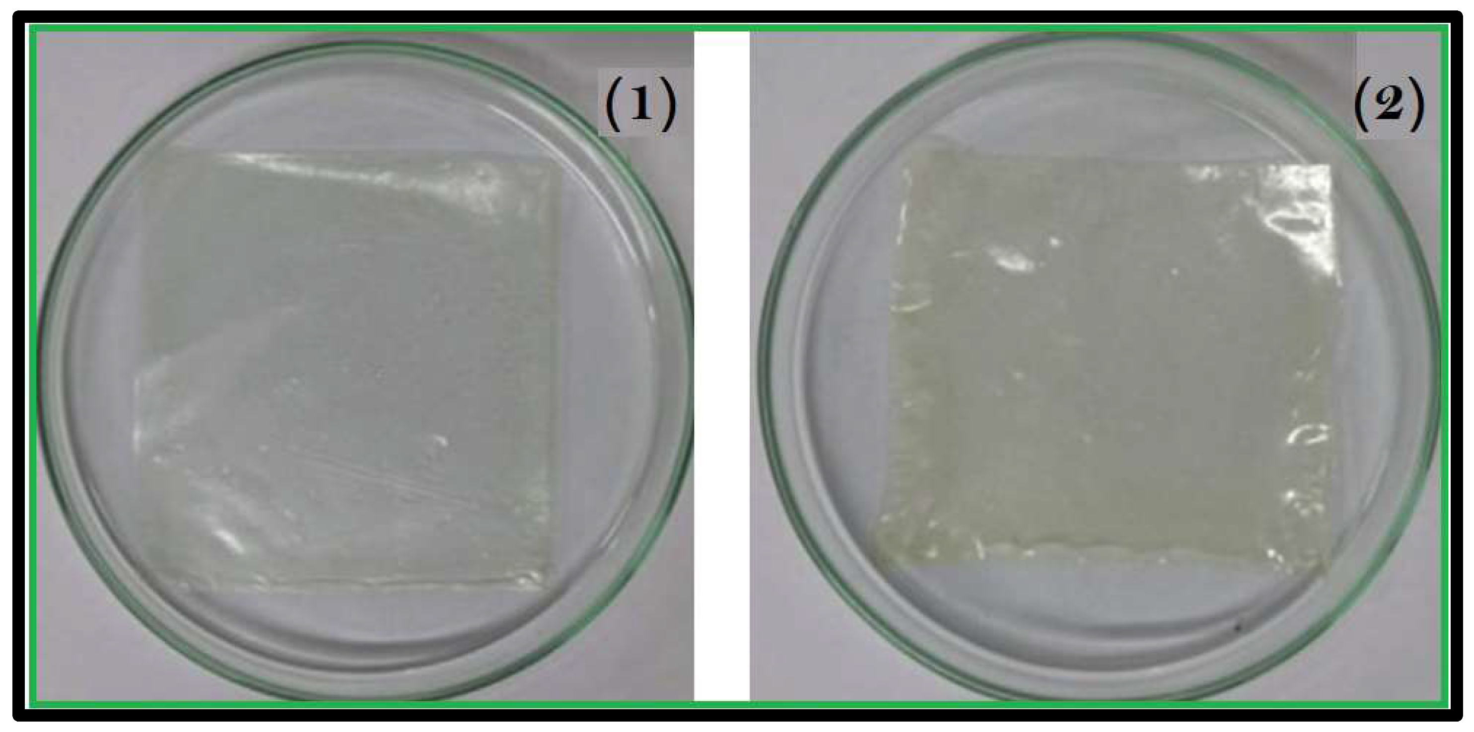 Gels | Free Full-Text | RETRACTED: Employing of Curcumin–Silver Nanoparticle-Incorporated Sodium ...