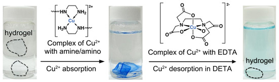 Copper Ion Removal Using a Waste-Plastic-Derived Hydrogel Adsorbent ...