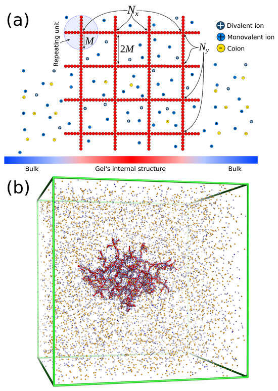 Ion Partition in Polyelectrolyte Gels and Nanogels