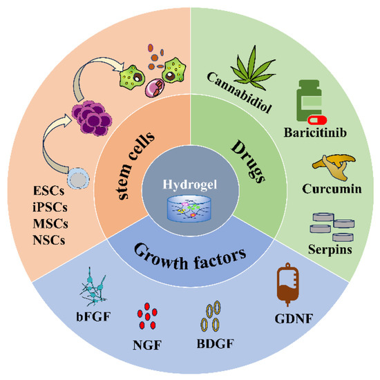 Application of Injectable Hydrogels as Delivery Systems in Spinal Cord ...