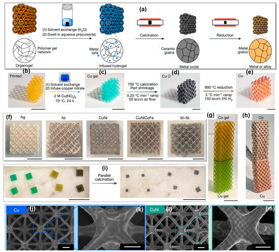 Gels | Free Full-Text | 3D-Printed Hydrogel for Diverse Applications: A ...