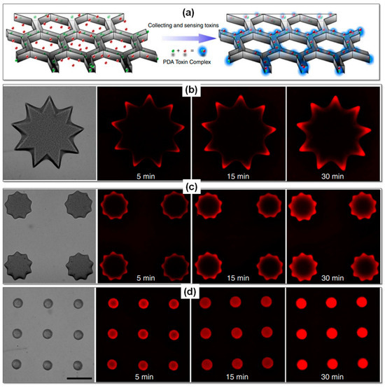 3D-Printed Hydrogel for Diverse Applications: A Review