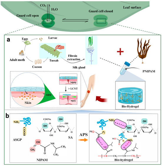 Wound Microenvironment Self-Adjusting Hydrogels with Thermo-Sensitivity ...