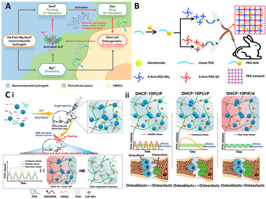Engineered Dynamic Hydrogel Niches for the Regulation of Redox ...