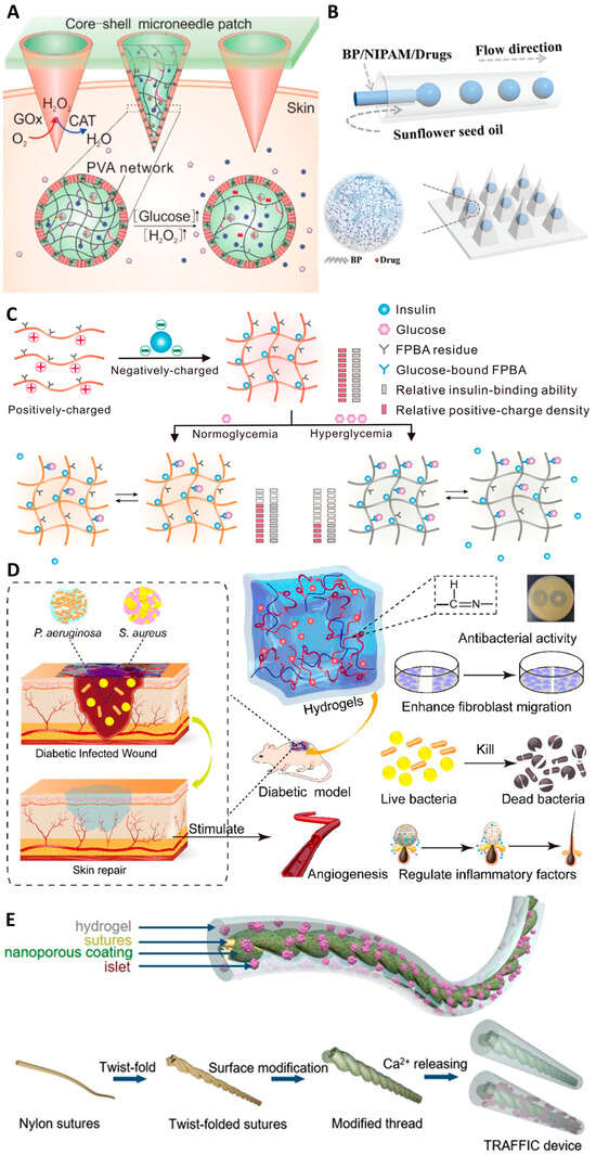 Engineered Dynamic Hydrogel Niches for the Regulation of Redox ...
