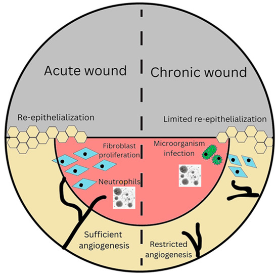 Hydrogels and Wound Healing: Current and Future Prospects