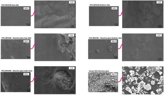 The Development and Characterisation of a P(3HB-co-4HB)–Bioactive Glass ...
