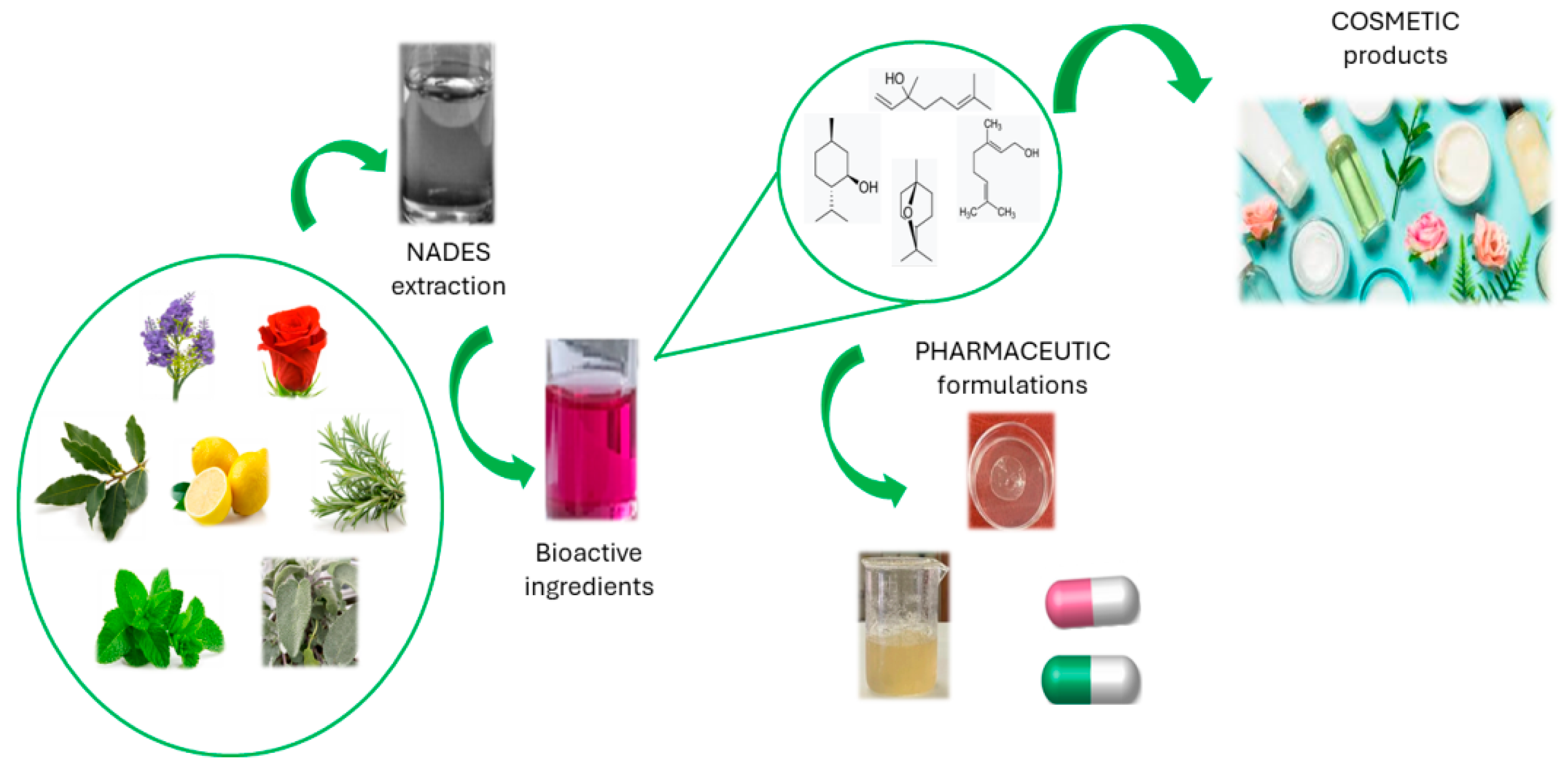NaDES Application in Cosmetic and Pharmaceutical Fields: An Overview