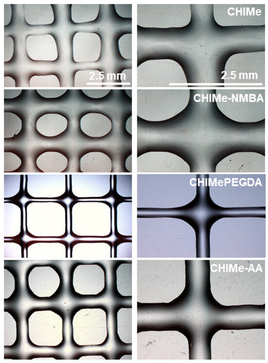 Extrusion-Based 3D Printing of Photocrosslinkable Chitosan Inks