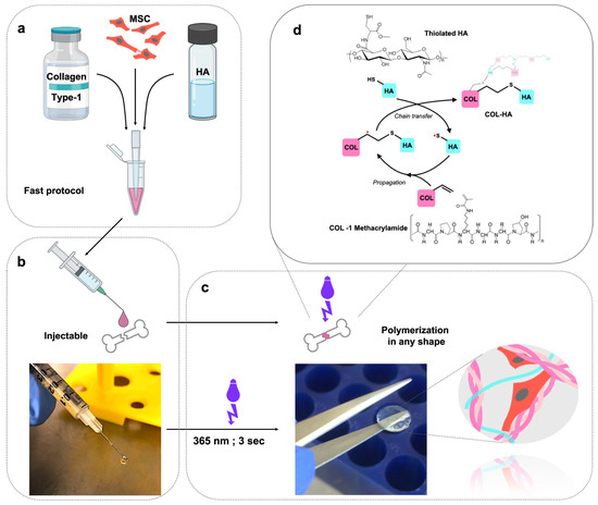 Advancements and Challenges in Hydrogel Engineering for Regenerative ...