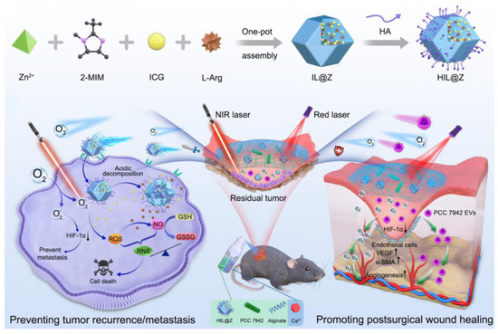 Gels | Free Full-Text | Advances in Hydrogel-Based Drug Delivery Systems