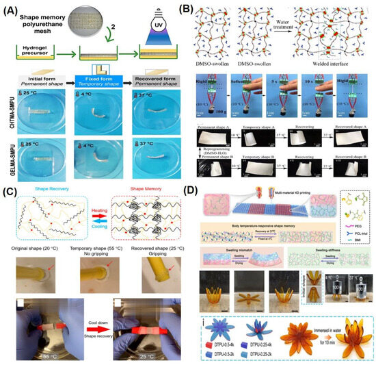 Shape Memory Hydrogels for Biomedical Applications