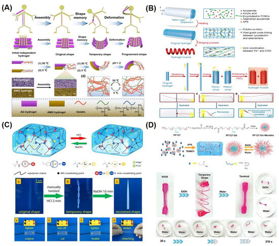 Shape Memory Hydrogels for Biomedical Applications