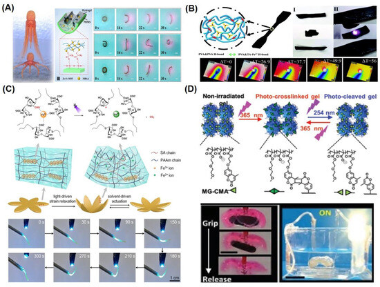 Shape Memory Hydrogels for Biomedical Applications
