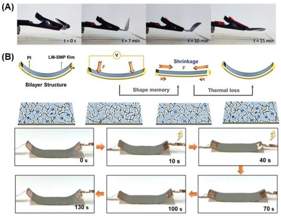 Shape Memory Hydrogels for Biomedical Applications