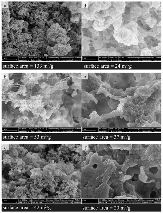Dried Porous Biomaterials from Mealworm Protein Gels: Proof of Concept ...