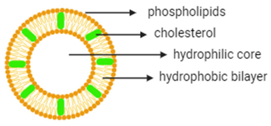 Liposome–Hydrogel Composites for Controlled Drug Delivery Applications