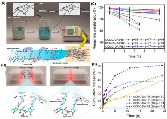 Dynamic Hydrogels against Infections: From Design to Applications