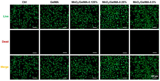 The MnO2/GelMA Composite Hydrogels Improve the ROS Microenvironment of ...