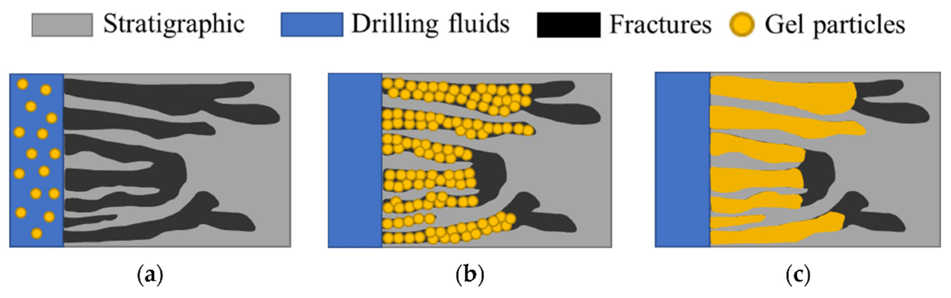 Chemical and Physical Architecture of Macromolecular Gels for ...
