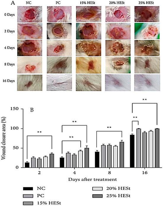 Transforming Medicinal Oil into Advanced Gel: An Update on Advancements