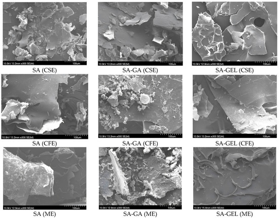 Microencapsulation of Grape Pomace Extracts with Alginate-Based ...